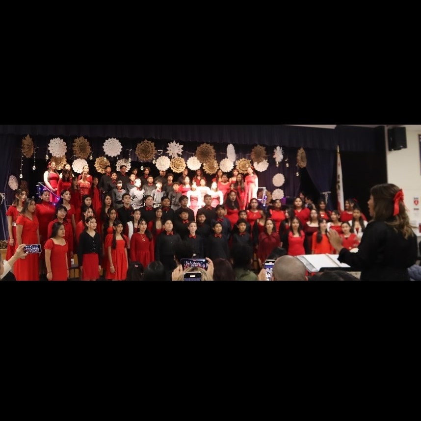 Home | Fitz Intermediate Language Academy