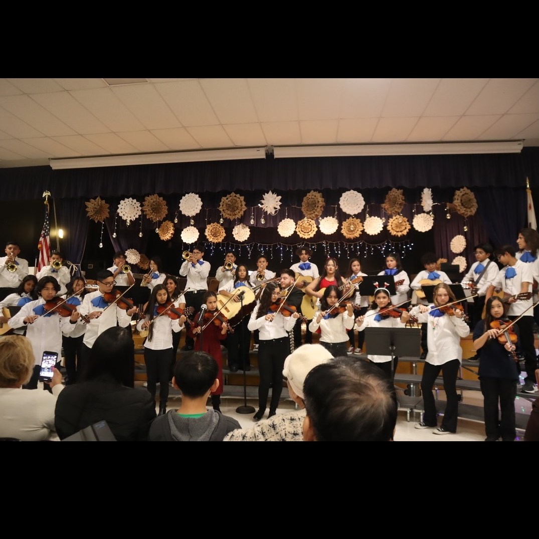 Home | Fitz Intermediate Language Academy