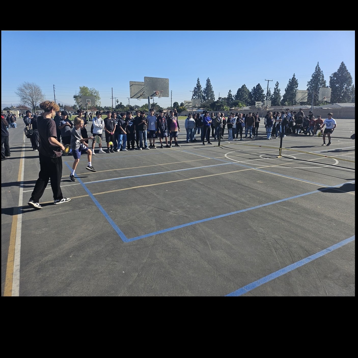 Home | Fitz Intermediate Language Academy