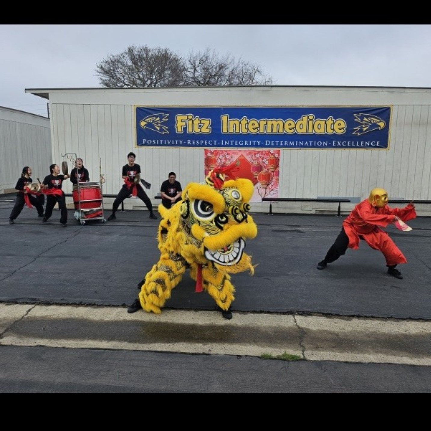 Home | Fitz Intermediate Language Academy