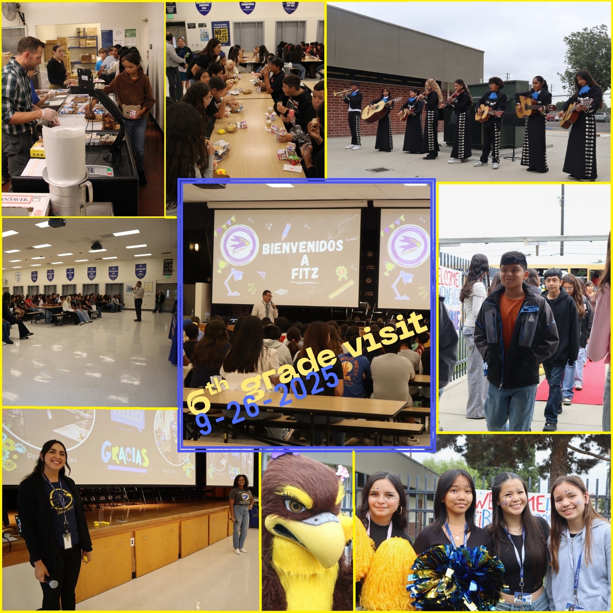 Home | Fitz Intermediate Language Academy